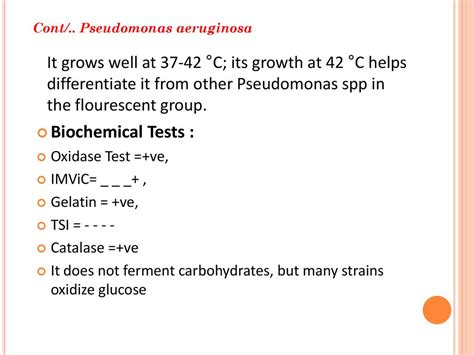 Pseudomonas Aeruginosa Ppt Download