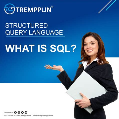 trempplin on linkedin sql programming html database sqlserver