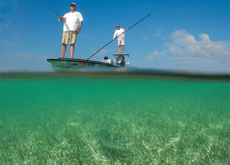 What Activities Can You Do In Biscayne National Park