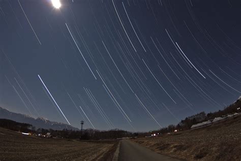 2011年02月24日の記事 星空が好き猫も好き