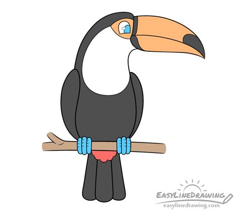 How To Draw A Toco Toucan Sailgolf18
