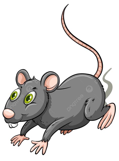 Gray Rat Graphic Fur Illustration Vector Graphic Fur Illustration