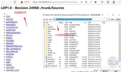 【svn Tortoisesvn】svn 的简介与tortoisesvn 安装使用教程 腾讯云开发者社区 腾讯云