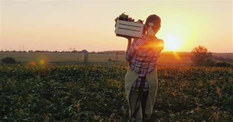 Insumos Nacionales Para Agricultura Orgánica Con Alto Potencial En México