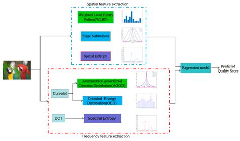 No Reference Image Quality Assessment Based On Dual Domain Feature Fusion