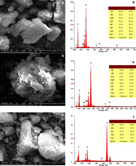 Environment Scanning Election Microscope Grasps At ×5000 And Energy Download Scientific Diagram