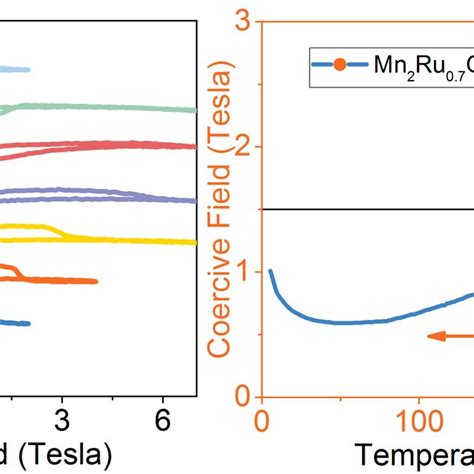 Left Hysteresis Loops Recorded Via Faraday Rotation Measurements