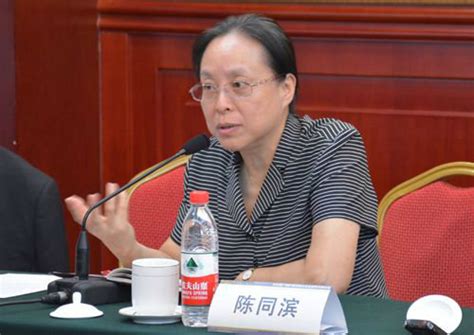 陈同滨简历 建筑历史研究所所长陈同滨受邀参会演讲 活动家