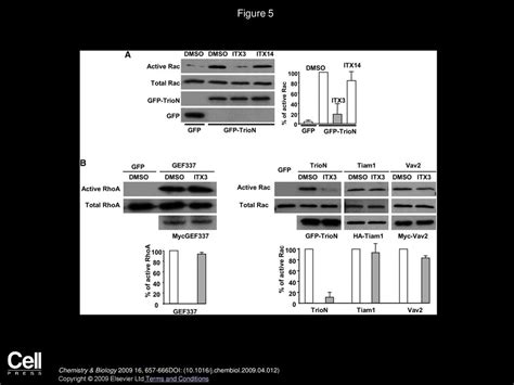 Volume 16 Issue 6 Pages June 2009 Ppt Download