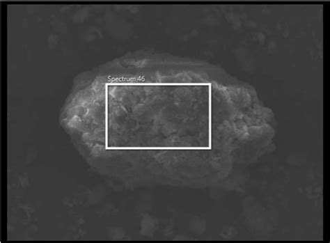 Sem Data For Us1 Sample Download Scientific Diagram