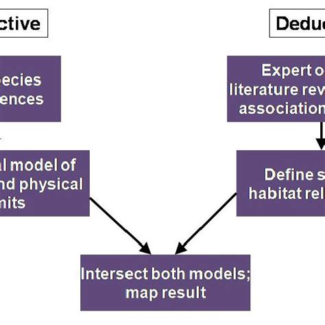 Steps Involved With Deductive Modeling These Steps Were Taken To