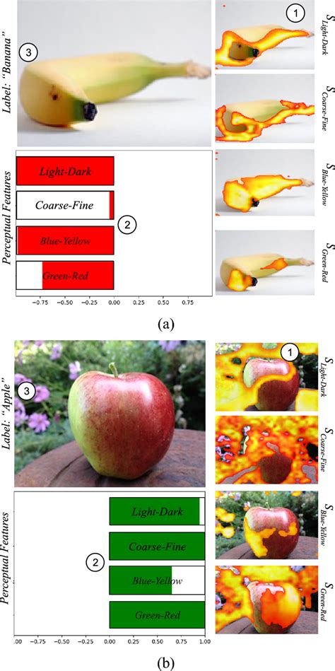 Example Of Epu Net Output Visualization Using Bar Charts And Saliency