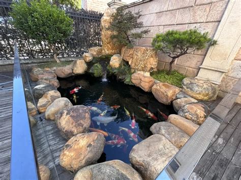 文明家风润人心这些庭院有颜值更有内涵 澎湃号政务 澎湃新闻 The Paper