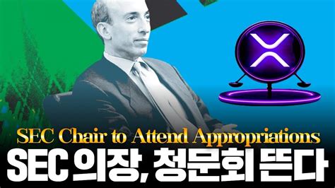 리플 소송 청문회에 Sec의장 뜬다 Youtube
