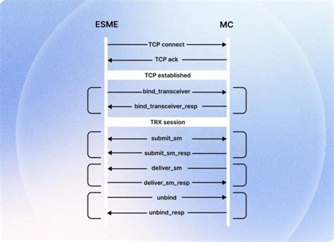 What Is Smpp And How It Works A Detailed Guide