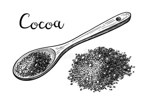 Cocoa Powder Sketch Stock Illustrations 466 Cocoa Powder Sketch Stock