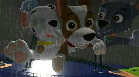 Rocky And Marshall And Tracker Album On Imgur