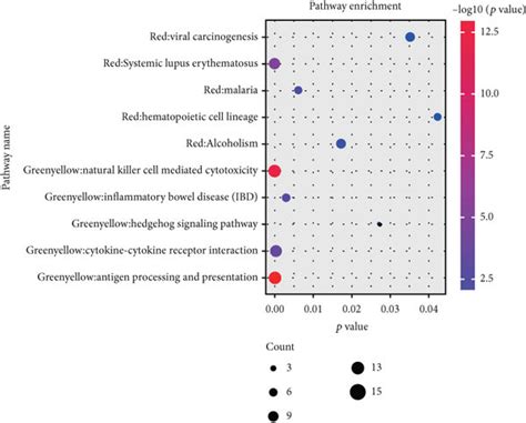 Functional Enrichment Analyses Of Two Trait Related Modules A