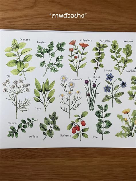 🎨 ศิลปะบำบัด ชวนมาระบายสีภาพต้นไม้ 🌿🌼ดอกไม้คลายเครียด แกลเลอรีที่