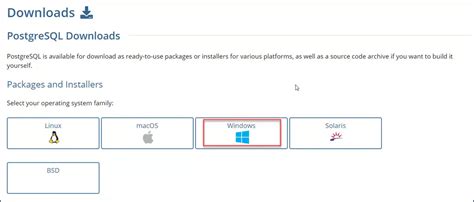 Windows服务器上，下载及安装postgresql Server