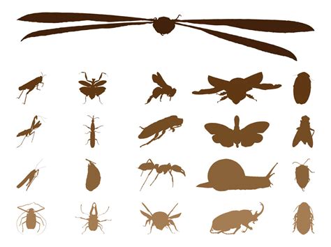 Insect Silhouettes Graphics Vector Art And Graphics