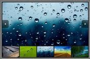Jquery Google Plus Picasa Photo Slideshow Plugin Google Slides