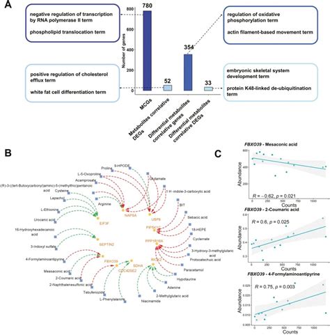 Integrating Sperm Cell Transcriptome And Seminal Plasma Metabolome To Analyze The Molecular