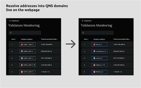 QNS Resolver Extension Google Chrome 용 확장 프로그램 다운로드