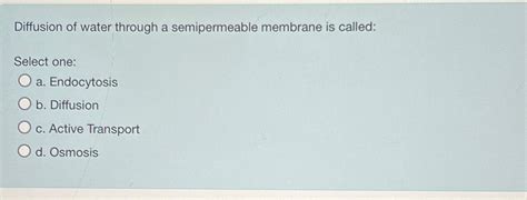 Solved Diffusion Of Water Through A Semipermeable Membrane