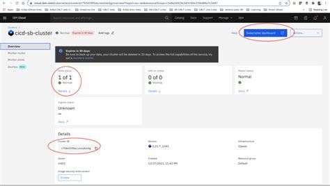 Springboot Kubernetes Example Jenkins And Ibm Cloud Devops Junction