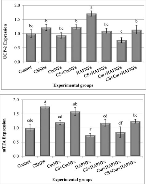 Testicular Expression Of Uncoupling Protein 2 Ucp2 And Mitochondrial
