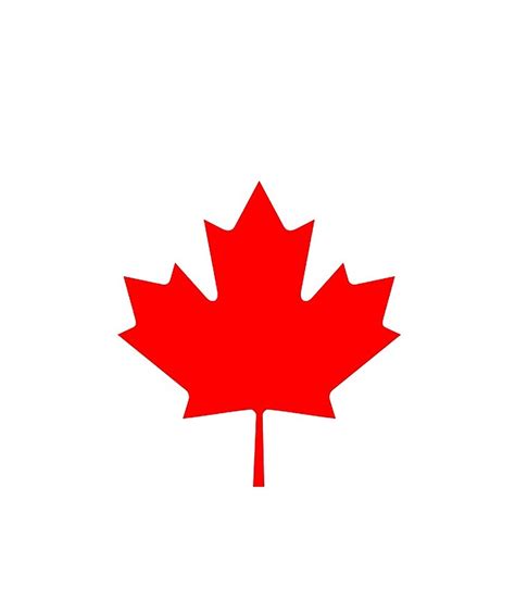 Canadian Flag Maple Leaf Species Theleaf Co