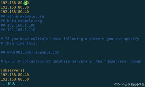 Ansible 工具从入门到使用 Ew帮帮网
