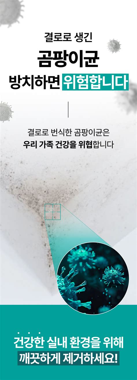 페인트 노루와 결로방지 롤러페인트 실내 곰팡이방지 베란다 천장 벽면 180g 무광 오늘의집 쇼핑
