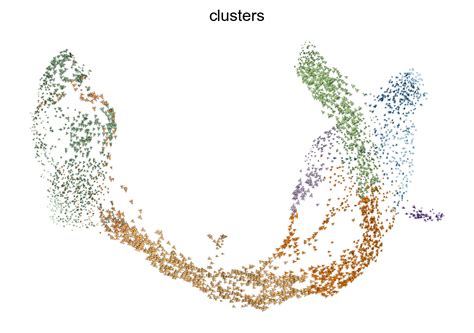 Rna Velocity Analysis — Cscb2022 Documentation