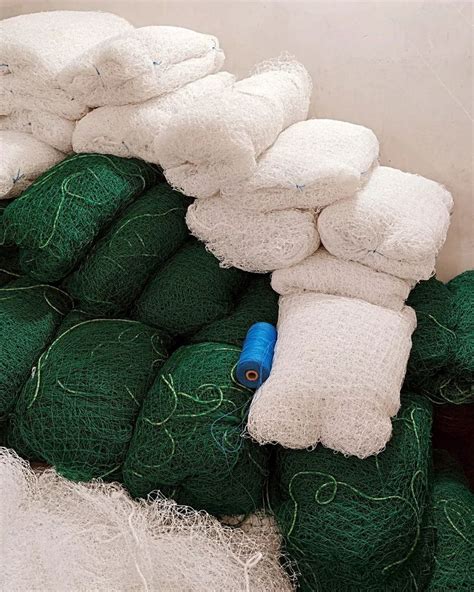 Anti Bird Nylon Net 50 X 50 Mm At ₹ 2 40 Sq Ft In Meerut Id