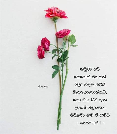 Pin By Nilmini Saram On Sinhala Quotes Plants Garden Quotes