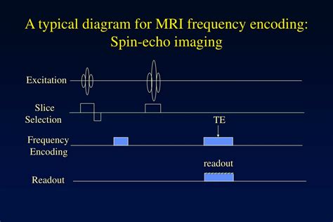 Ppt Principles Of Mri Image Formation Powerpoint Presentation Free Download Id 9726459