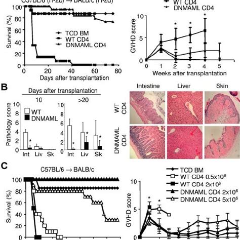Inactivation Of Notch Signaling In Donor Cd4 ؉ T Cells Inhibits Acute