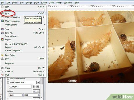 How To Fix Perspective In Gimp Steps With Pictures WikiHow Tech