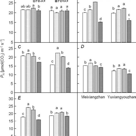 Effect Of Fe And α Ketoglutaric Acid On The Net Photosynthetic Rate Download Scientific Diagram