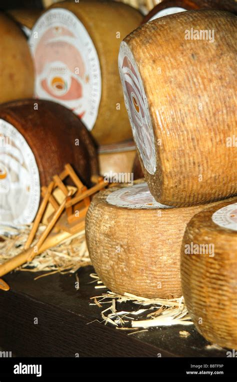Pecorino Cheese Sardinia Italy Stock Photo Alamy