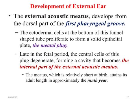 Embryological Development Of Ear Earppt