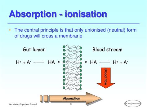 Ppt The Influence Of Physicochemical Properties On Adme Iain Martin