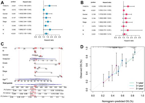 Integrated Analysis Of Single Cell And Bulk Rna Sequencing Data Reveals The Prognostic Value And
