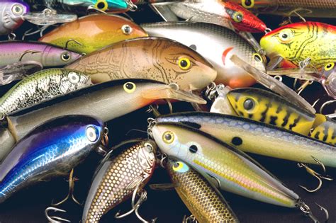 St Lawrence River Named 2022s Best Bass Fishery By Bassmaster