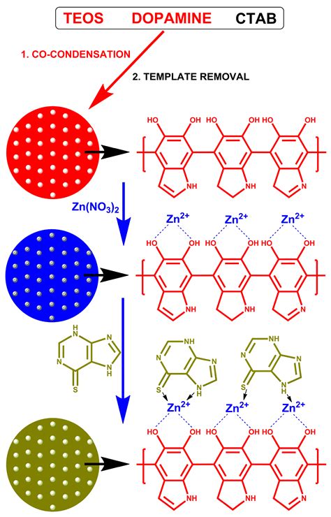 Mesoporous Silica Modified With Polydopamine And Zinc Ions As A Potential Carrier In The