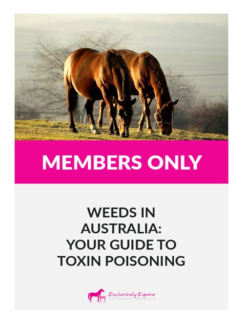 Weeds In Australia Toxic Weeds Livestock Pdf Flax Botany