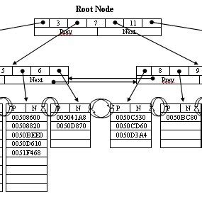 Index Structure For The Proposed Indexing Technique C Algorithms This Download Scientific