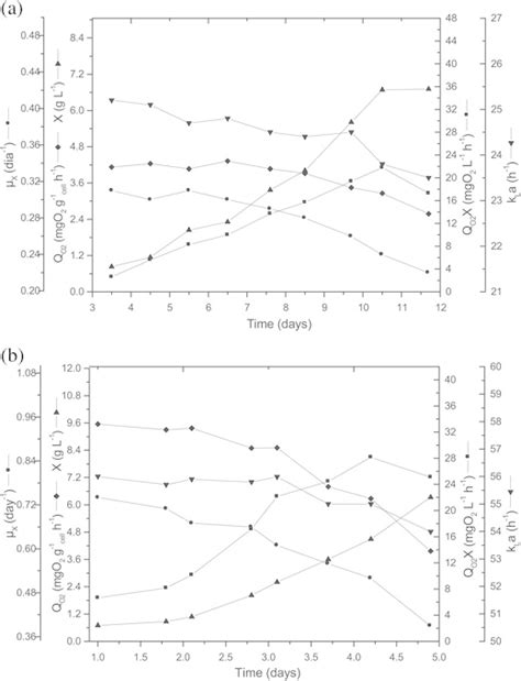 Profiles For The Specific Growth Rate Specific Oxygen Uptake Rate